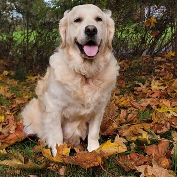 Alpine L Valley Ranch